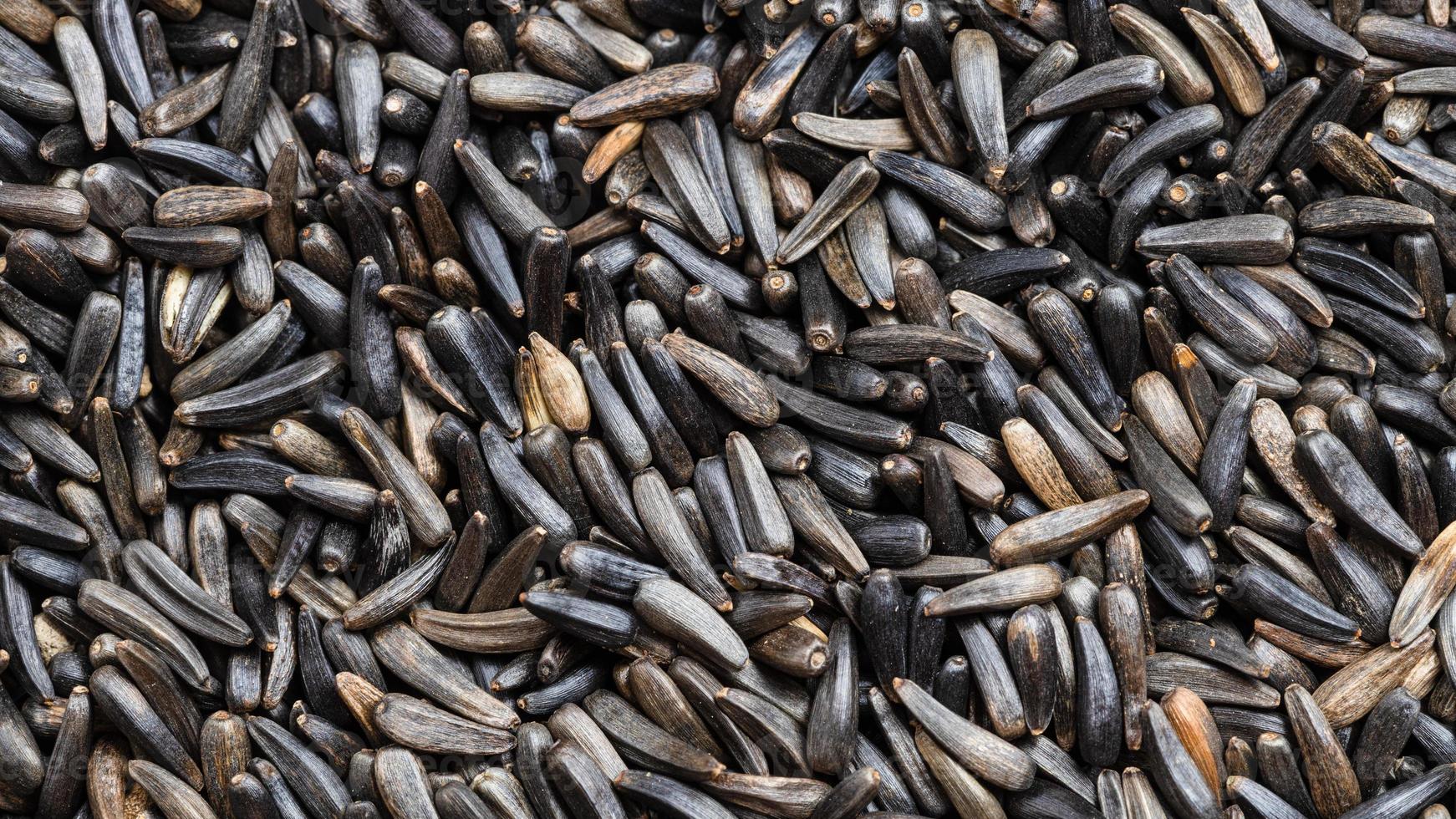 NIGER SEED 3KG – Riverview Produce