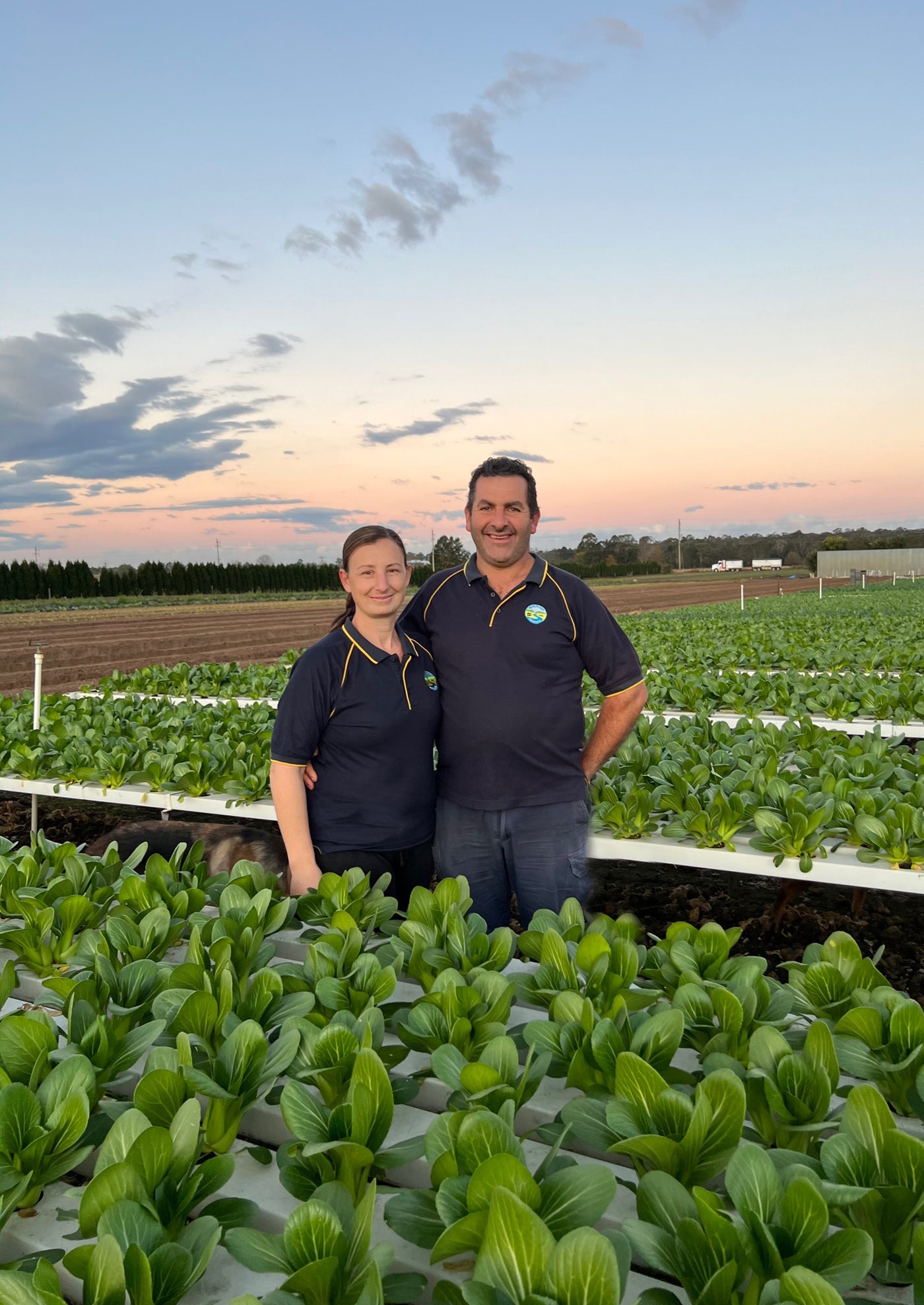 About – Riverview Produce